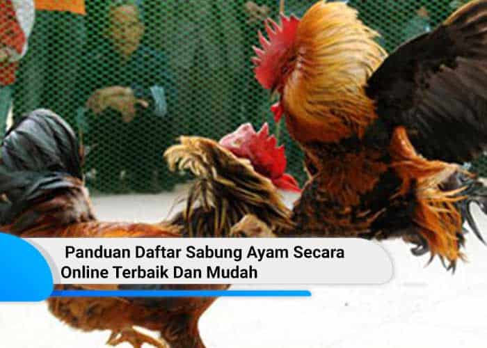 Panduan Daftar Sabung Ayam Secara Online Terbaik Dan Mudah